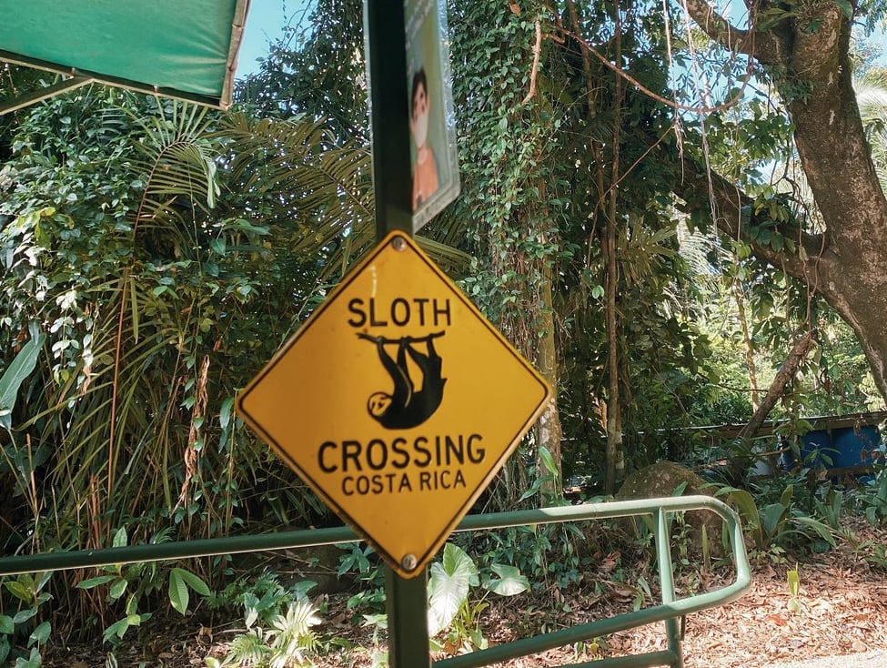 You Can’t Run Out Of Things To Do In Quepos, Costa Rica