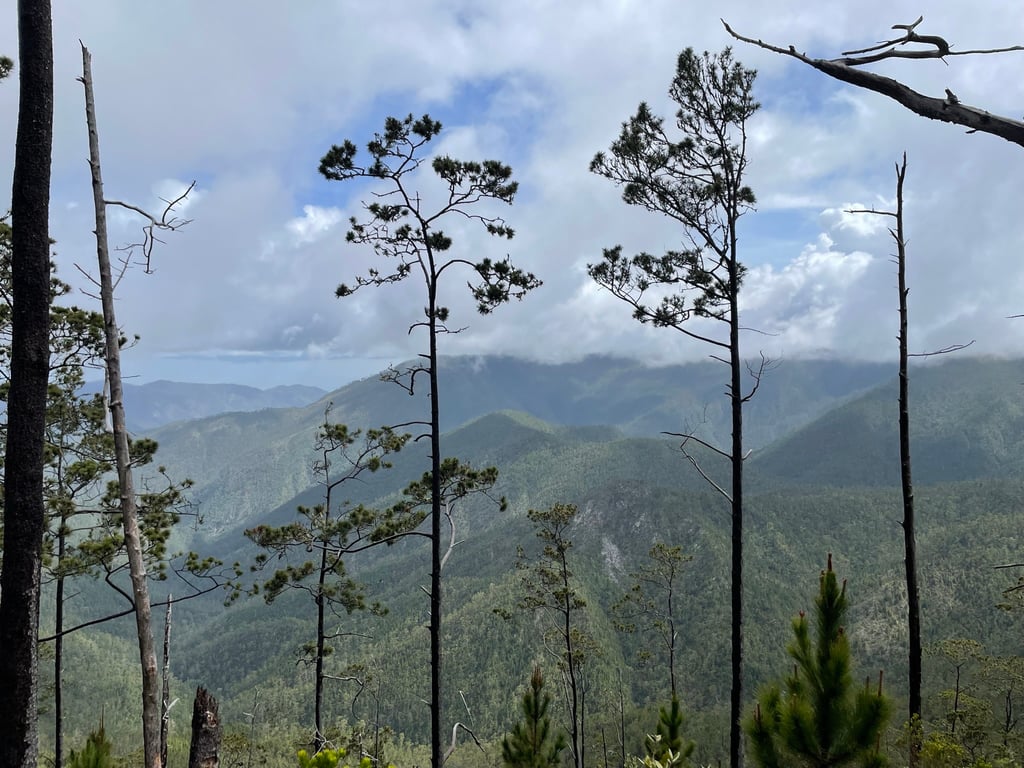 Climb The Highest Peak In The Caribbean: Pico Duarte