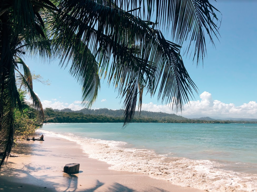 Taking A Trip To Puerto Viejo, Costa Rica