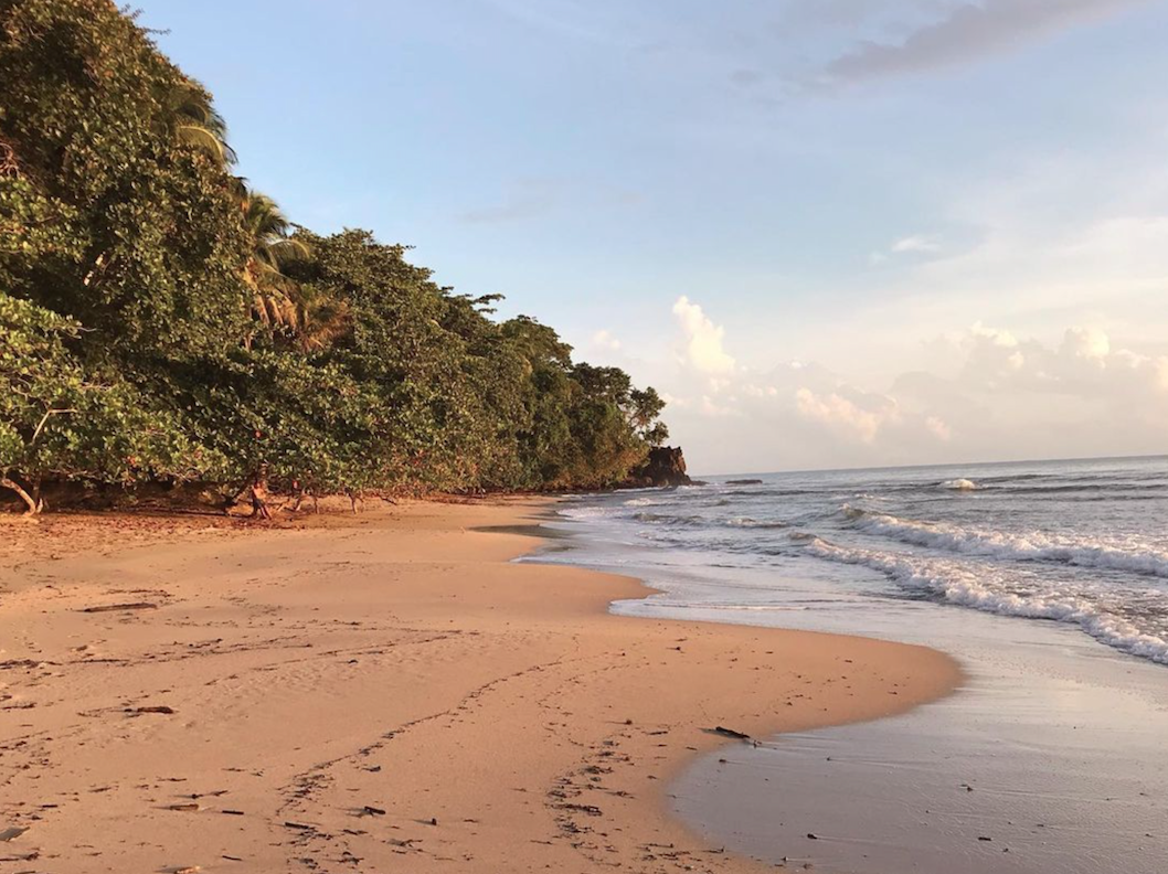 Seeing Costa Rica’s Caribbean Coast + The Best Beaches In The Country